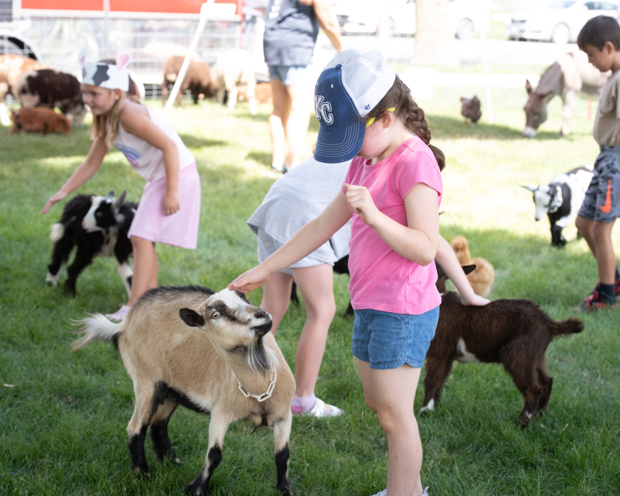 Mitchell County Fair – July 29-August 3, 2025 – Osage, Iowa