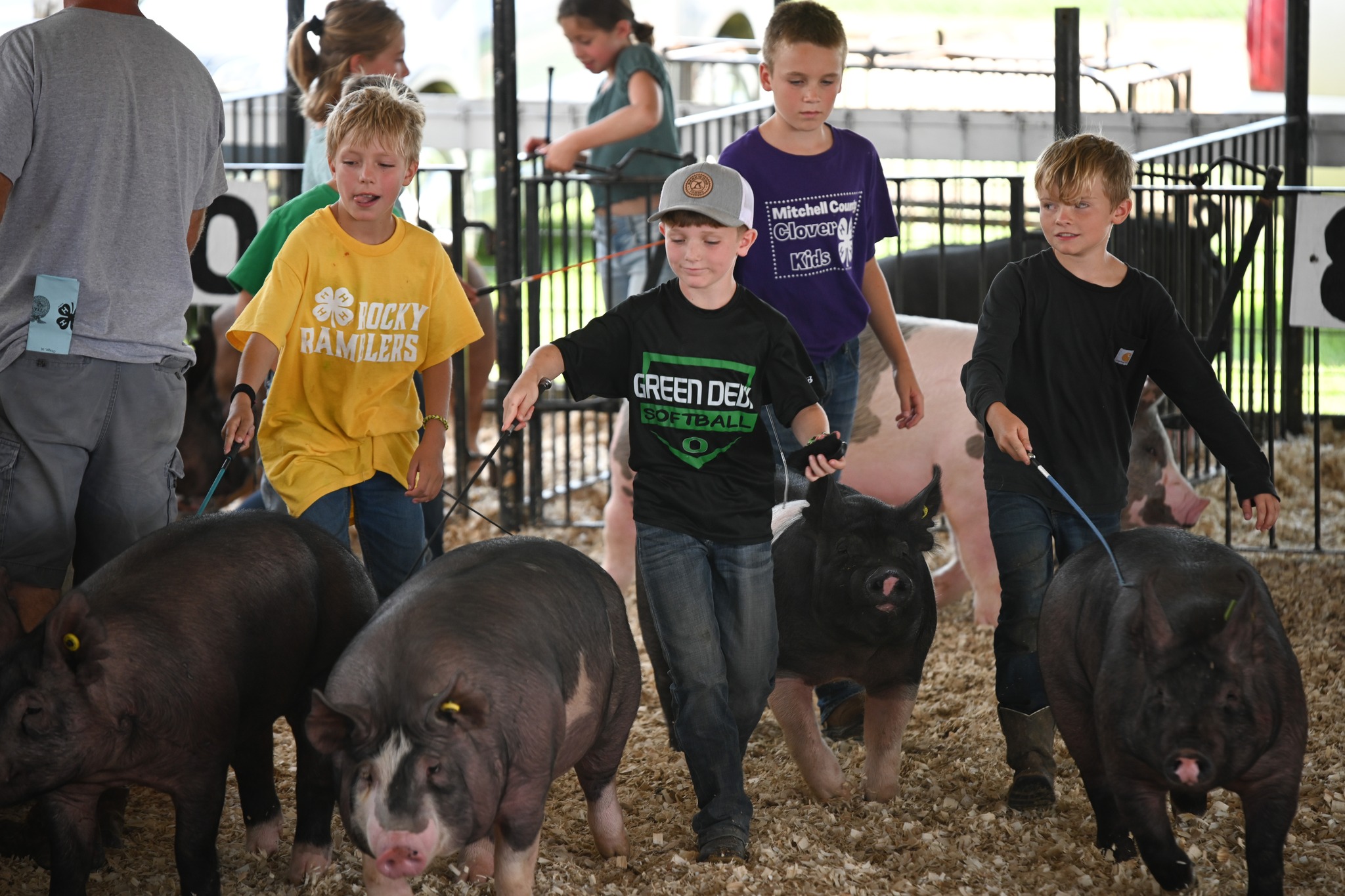 Mitchell County Fair – July 28-August 2, 2026 – Osage, Iowa